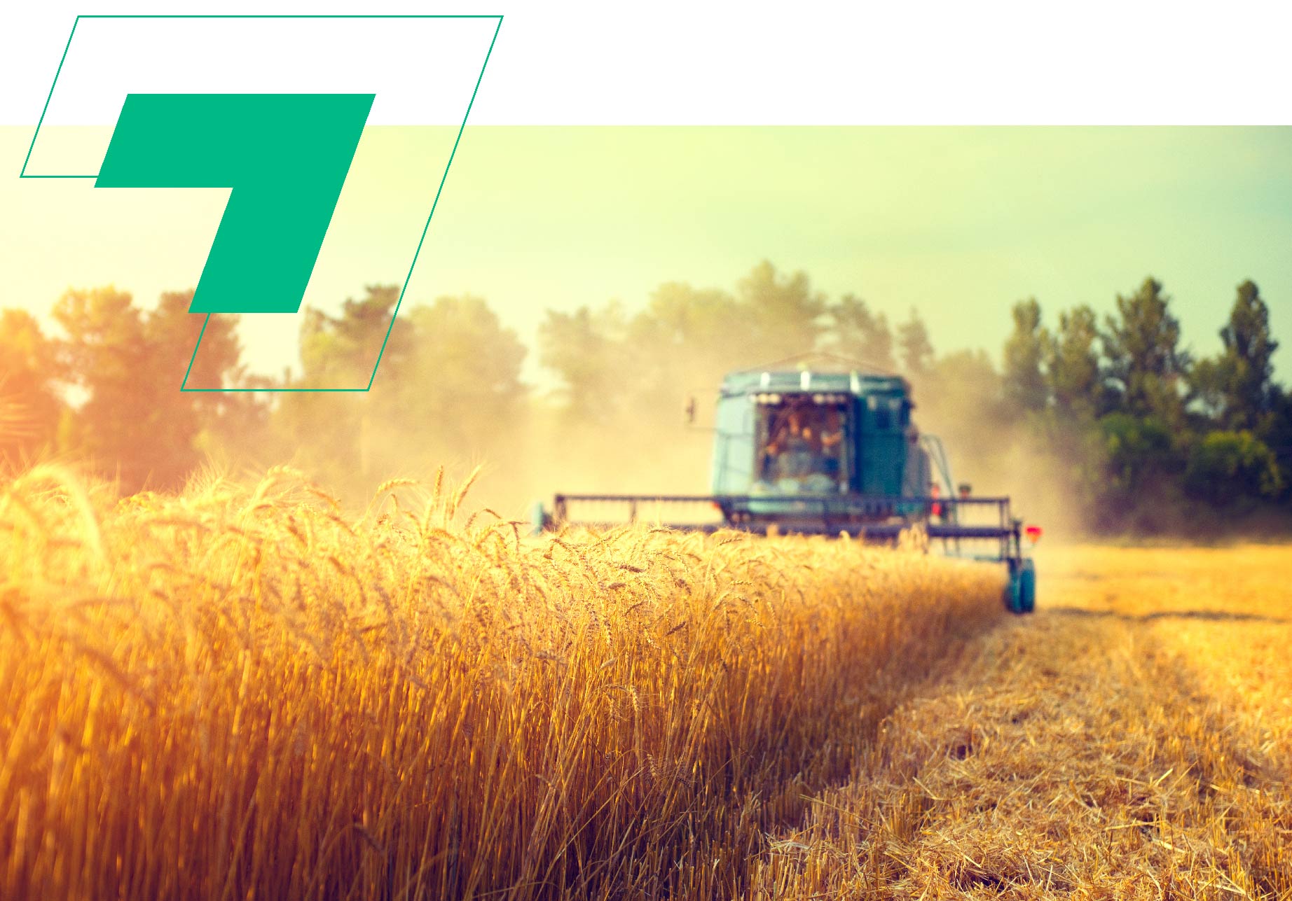 AEGIS Hedging | Markets - Agricultural Commodities