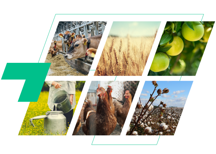 AEGIS Hedging | Markets - Agricultural Commodities