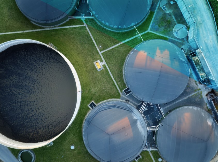 Renewable Identification Numbers